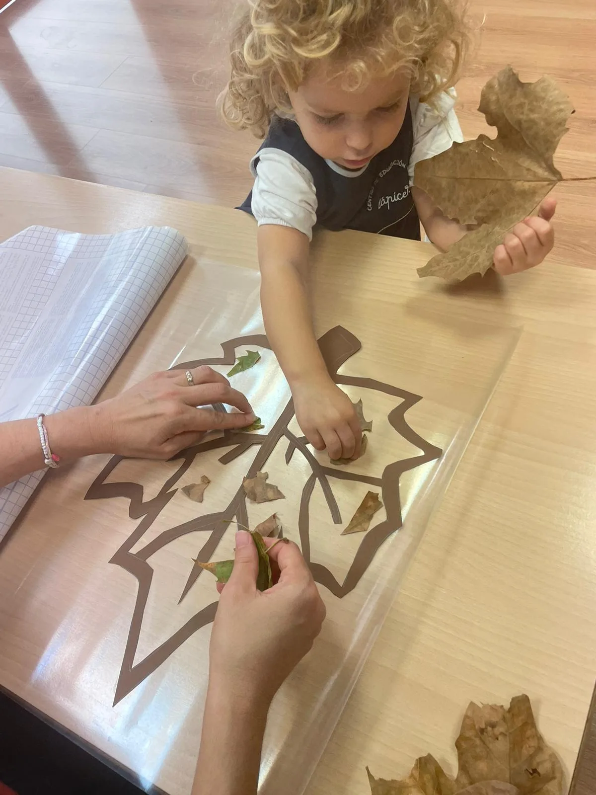 Proyecto Educativo y Filosofía - Lapices Escuelas Infantiles